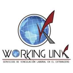 Working Link - Crunchbase Company Profile & Funding