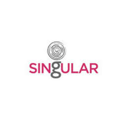 Singular Game Studios - Crunchbase Company Profile & Funding
