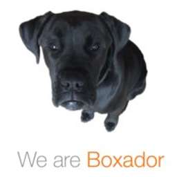 Boxador - Tech Details