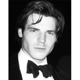 Antoin Commane - Founder @ DDW - Crunchbase Person Profile