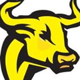 BullyVille - News & Analysis