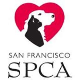 San Francisco SPCA
