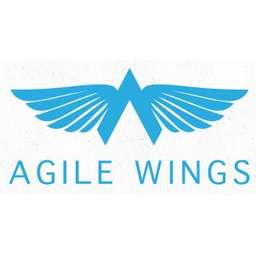 AGILE WINGS - Financial Details