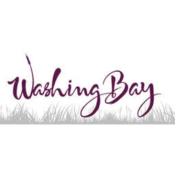 Washingbay - Crunchbase Company Profile & Funding