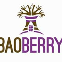 Baoberry - Crunchbase Company Profile & Funding