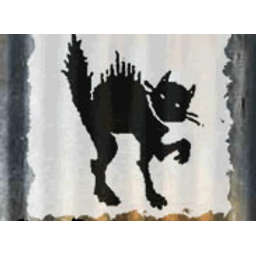 Spiky Black Cat Records - Crunchbase Company Profile & Funding