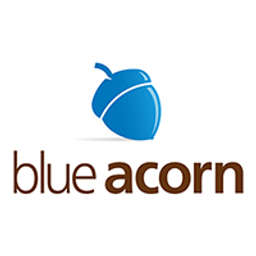blue acorn developments