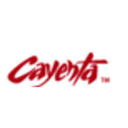 Cayenta - Crunchbase Company Profile & Funding
