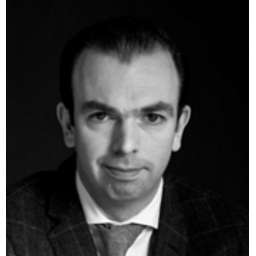 Guy Mertens - Partner @ Buysse & Partners - Crunchbase Person Profile