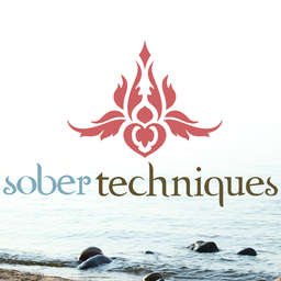Sober Techniques - Crunchbase Company Profile & Funding