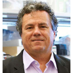 Scott Lowe - Founder @ Mirimus - Crunchbase Person Profile