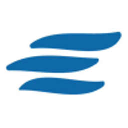 Elemental Cyber Security - Financial Details