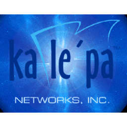 Kalepa Networks - Crunchbase Company Profile & Funding