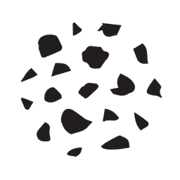 BlackPepper - Crunchbase Company Profile & Funding