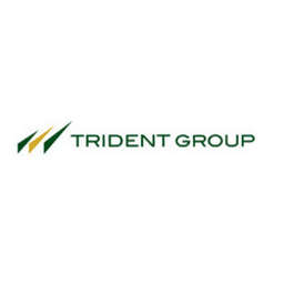 Trident Group - Crunchbase Company Profile & Funding