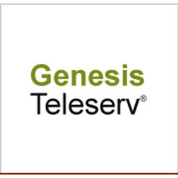 Genesis Teleserv - Financial Details