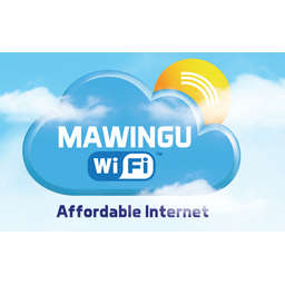 Mawingu Networks - Crunchbase Company Profile & Funding