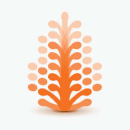 Celer Technologies - Tech Details