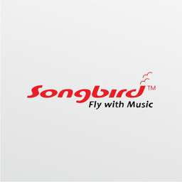 Songbird Car Speakers - Crunchbase Company Profile & Funding