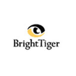 Bright Tiger Technologies - Financial Details