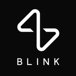 Blink (previously Witworks) - Financial Details