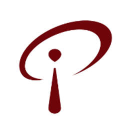 iProgrammer Solutions Pvt. Ltd. - Crunchbase Company Profile & Funding