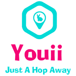 Youii - Crunchbase Company Profile & Funding