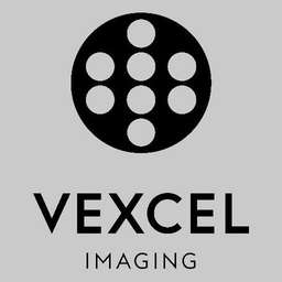 Vexcel Imaging - Financial Details
