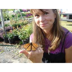 Brenda Renee - CEO and Founder @ Mystical Empress - Crunchbase Person ...