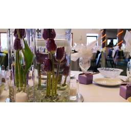 Italian American Community Center - Crunchbase Company Profile & Funding