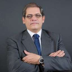 Rui Reis - Managing Director @ Galp - Crunchbase Person Profile