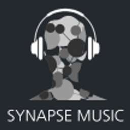 Synapse Music - Crunchbase Company Profile & Funding