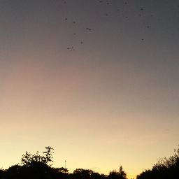 Corvus Software - Crunchbase Company Profile & Funding