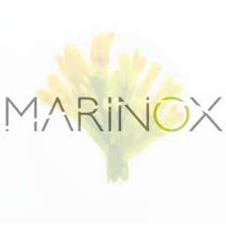 MARINOX - Crunchbase Company Profile & Funding