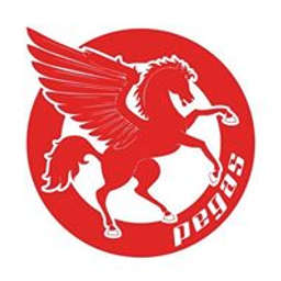 Pegas Bicycles - Crunchbase Company Profile & Funding