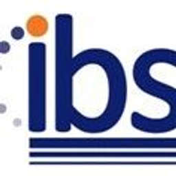 Integrated Business Systems - Tech Details