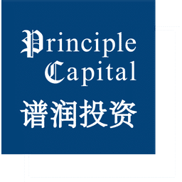Principle Capital - Tech Details