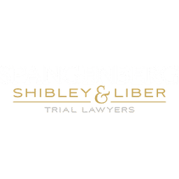 Spangenberg Shibley & Liber LLP - Tech Details