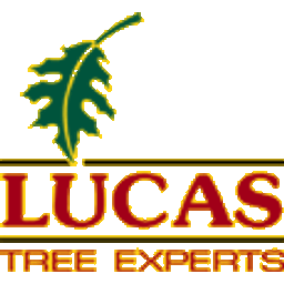 Lucas Tree Expert Co, Inc