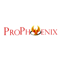 ProPhoenix - Crunchbase Company Profile & Funding