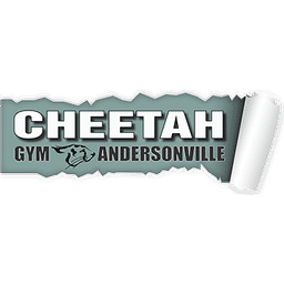 Cheetah Gyms Inc. - Crunchbase Company Profile & Funding
