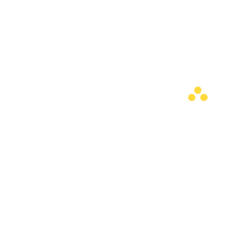 Matrix Technology Group, Inc