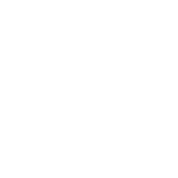 The Wireless Experience
