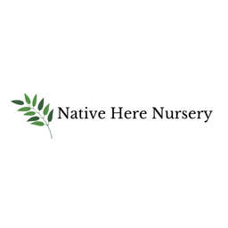 Native Here Nursery
