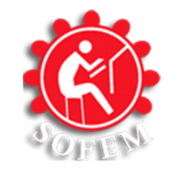 Sofem - Crunchbase Company Profile & Funding