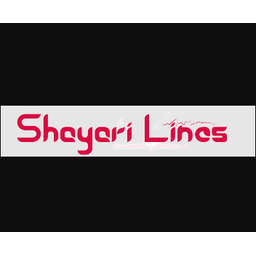 Shayari Lines - Crunchbase Company Profile & Funding