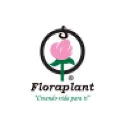 Floraplant - Crunchbase Company Profile & Funding