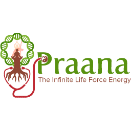 Praana Integrative Medicine & Holistic Health Center - Crunchbase ...
