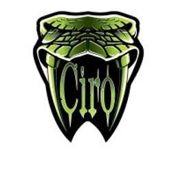 Ciro - Crunchbase Company Profile & Funding