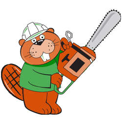 Beaver Tree Services